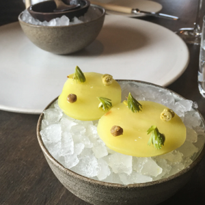 A Sad Day for Foodie Enthusiasts – The World's Best Restaurant, Noma ...